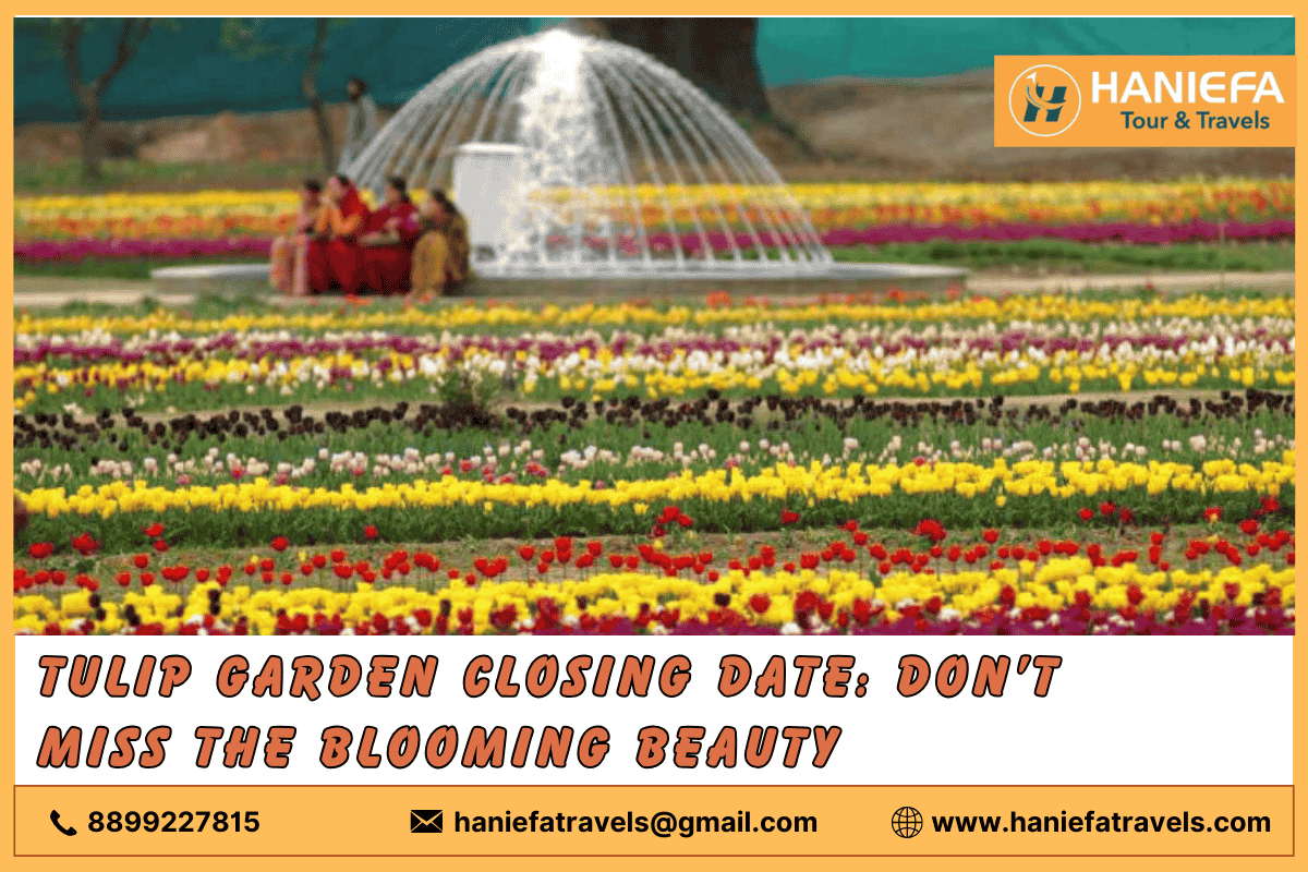 Tulip Garden Closing Date: Don't Miss the Blooming Beauty - Haniefa ...