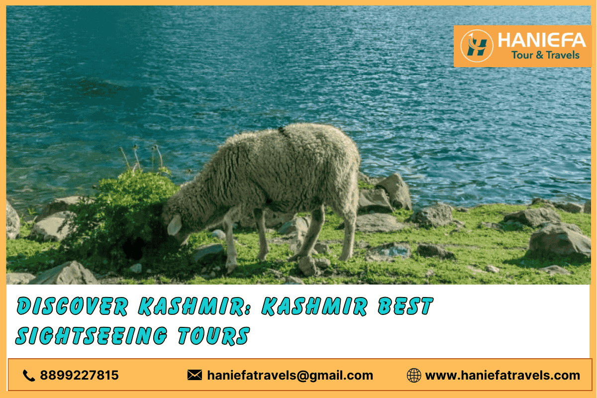 Discover Kashmir: Kashmir best sightseeing tours - Haniefa Tour and Travels