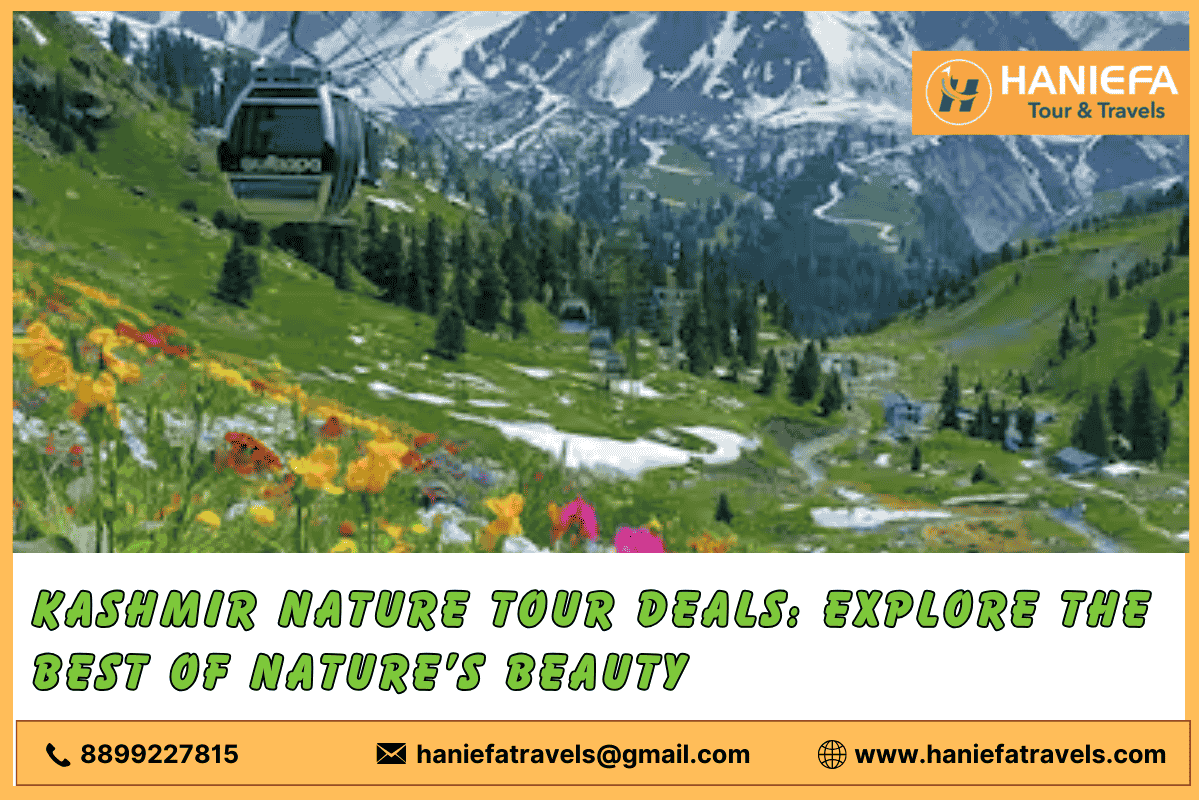 Kashmir Nature Tour Deals: Explore the Best of Nature's Beauty ...