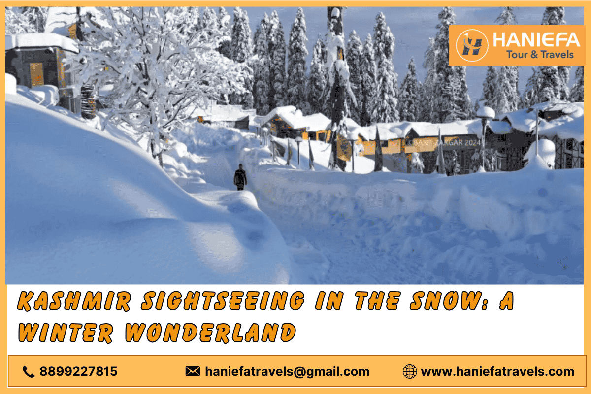 Kashmir Sightseeing in the Snow: A Winter Wonderland - Haniefa Tour and ...