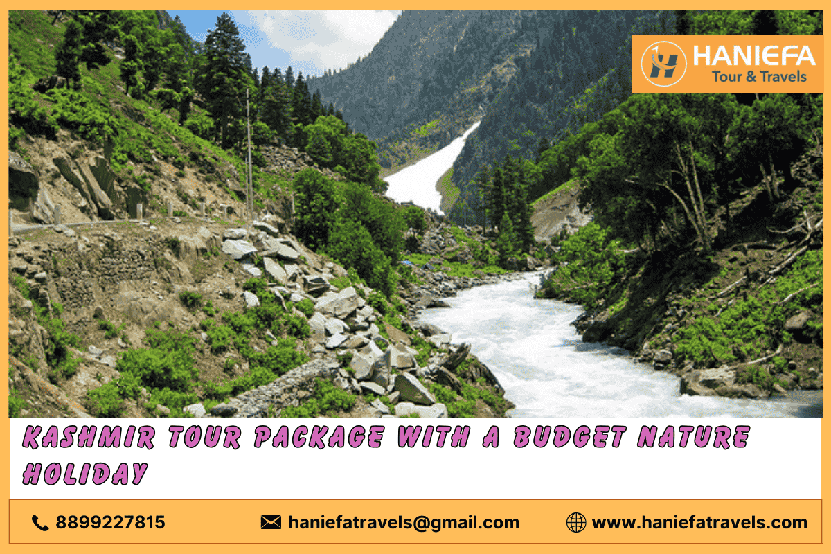 Kashmir Tour Package with a Budget Nature Holiday - Haniefa Tour and ...
