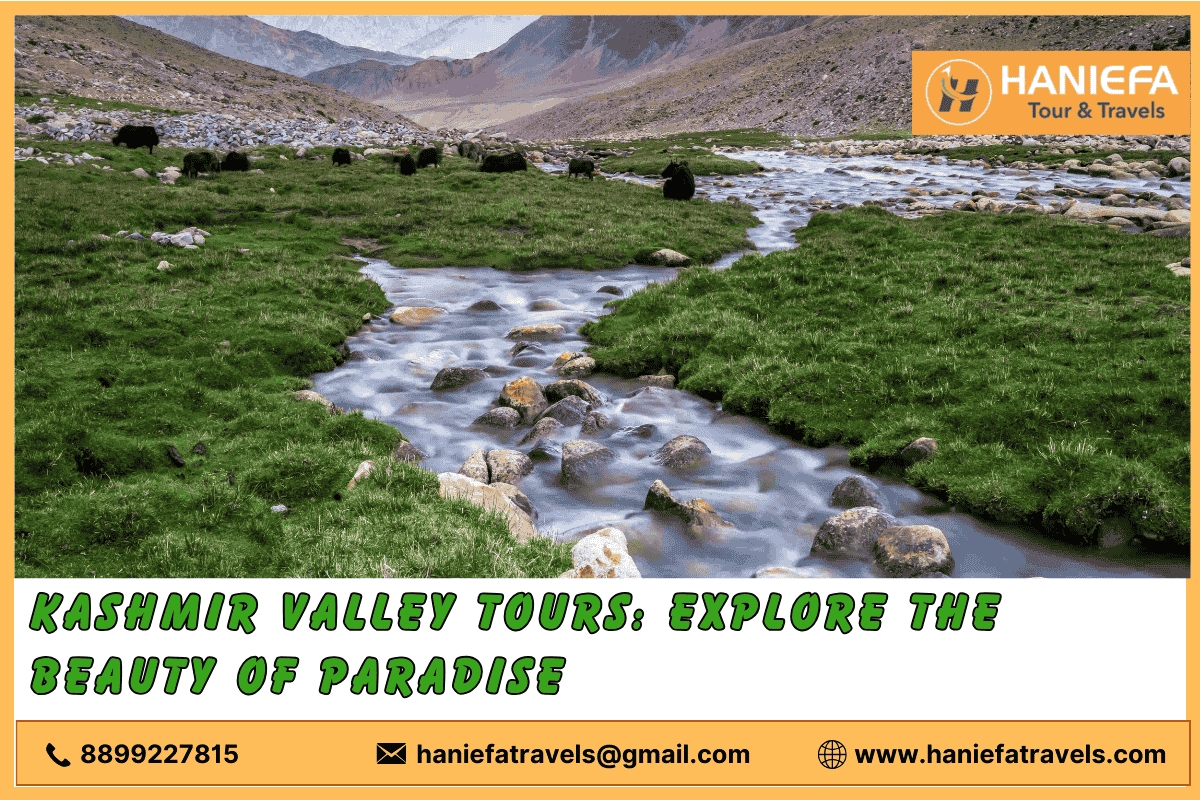 Kashmir Valley Tours: Explore the Beauty of Paradise - Haniefa Tour and ...