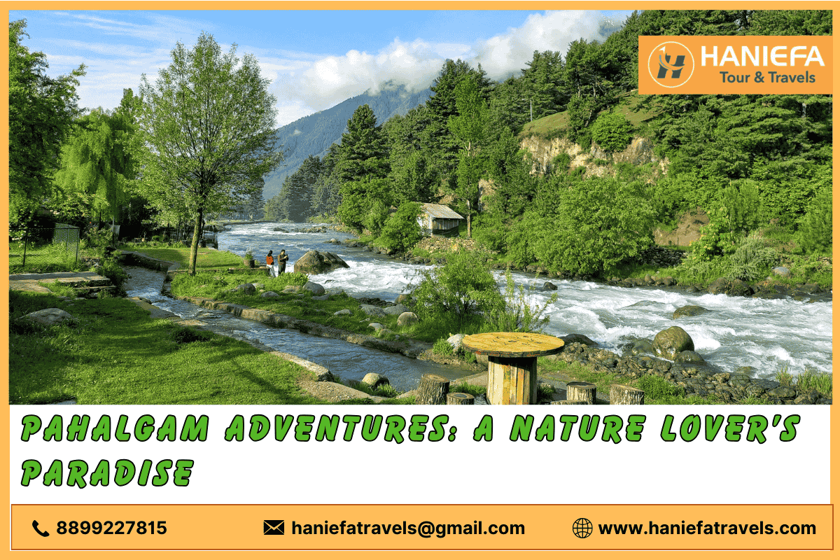 Pahalgam adventures: A Nature Lover's Paradise - Haniefa Tour and Travels