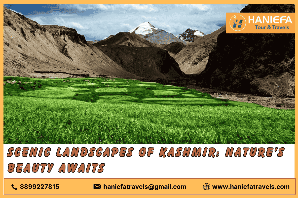 Scenic Landscapes of Kashmir: Nature’s Beauty Awaits - Haniefa Tour and ...