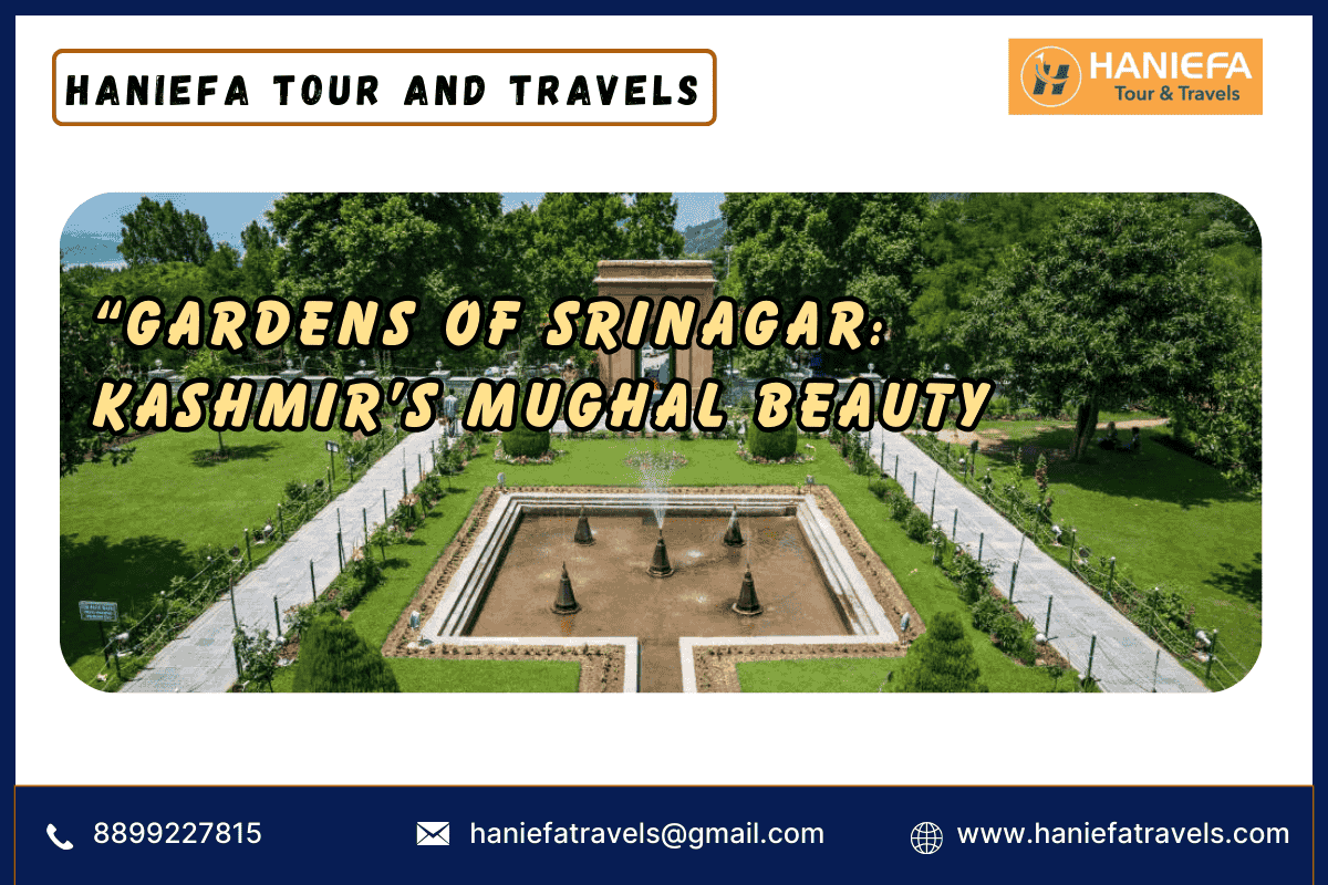 "Gardens of Srinagar: Kashmir’s Mughal Beauty - Haniefa Tour and Travels