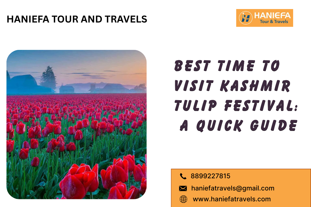 Best Time to Visit Kashmir Tulip Festival: A Quick Guide - Haniefa Tour ...
